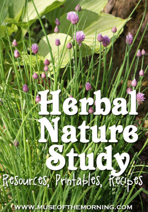 Herbal Nature Studies – Muse of the Morning ~ PDF Sewing & Embroidery ...